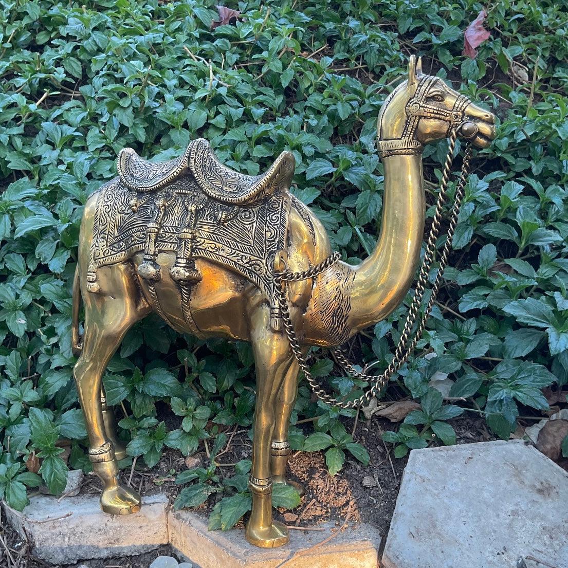 Brass Decorative Camel | Handmade Home Decor | Crafts N Chisel